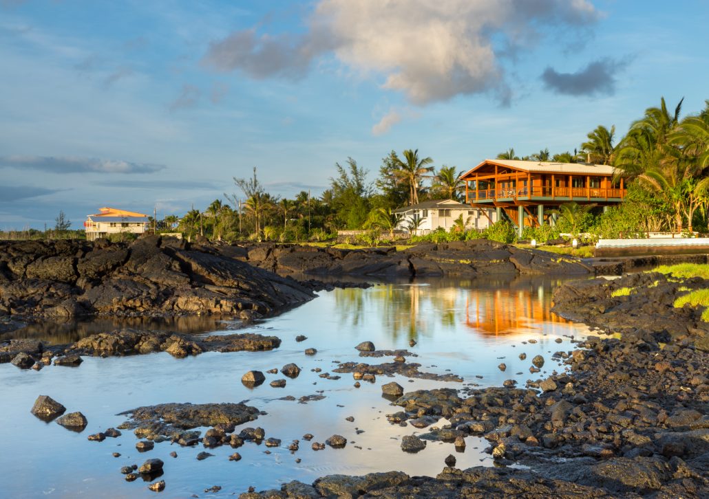 Ironwood Roots on Lava - Joy Dillon Certified Residential Specialist (CRS)